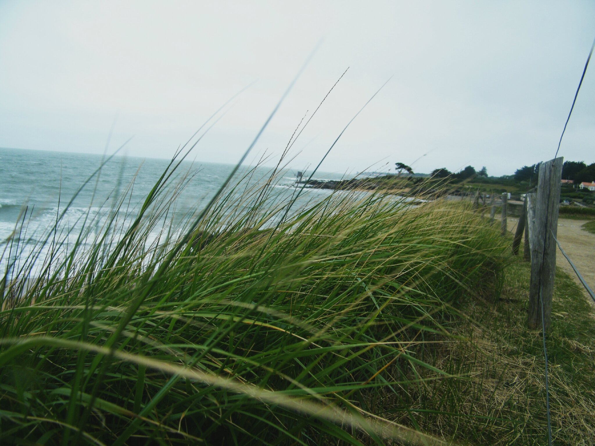 Dans Un Monde Sauvage Mais Calme Oh My Picture dans-un-monde-sauvage-mais-calme-oh-my-picture