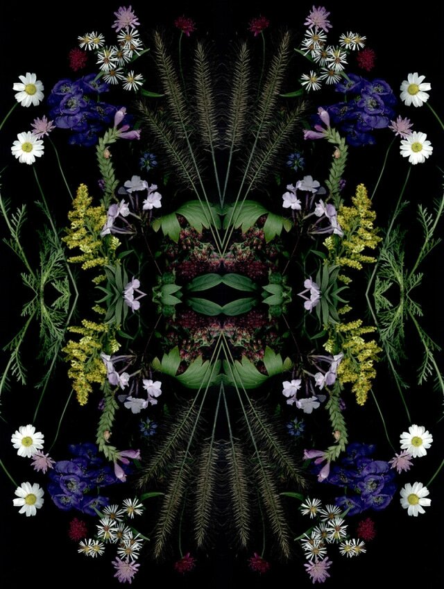 Bloom Day Scans Flower Art by Craig Cramer - Alain.R.Truong